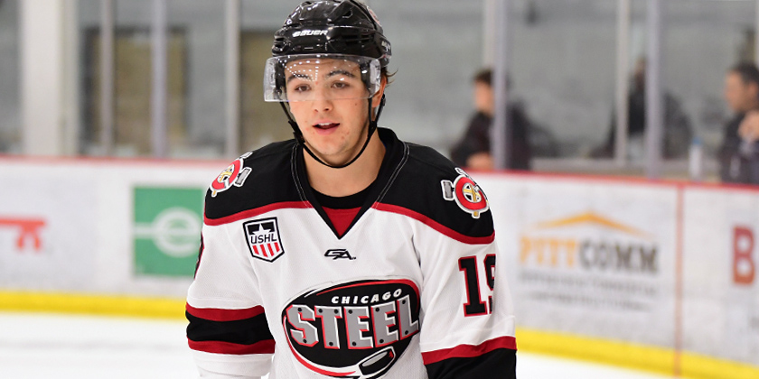 2020 NHL Draft Scouting Report: Brendan Brisson - Blue Seat Blogs